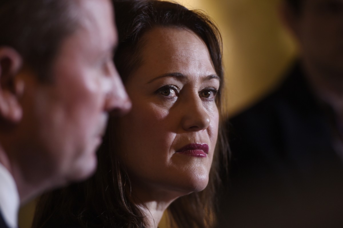 Labor hopes it’s a case of second time lucky | Your Local Examiner