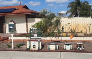 Gosnells News - Your Local Examiner