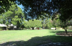 Gosnells News - Your Local Examiner